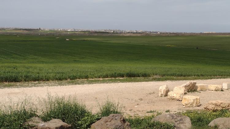 Guerra Israel Palestina: alvo do Hamas tem área de lazer com bunker