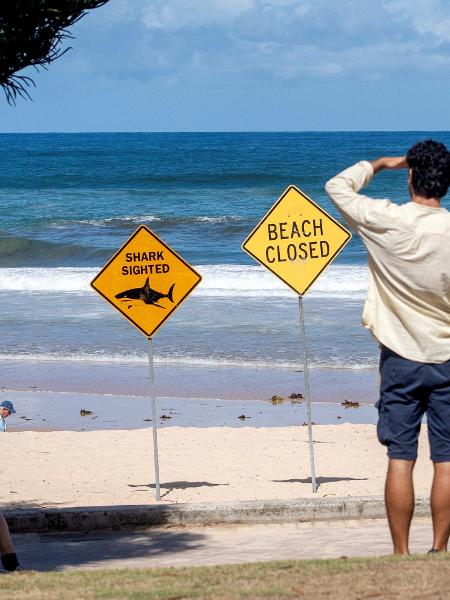 Praias da Austrália são fechadas após série de ataques de tubarão