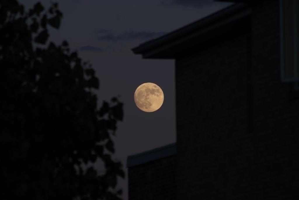 Lua de Morango: fenômeno é visto em diferentes partes do mundo; veja