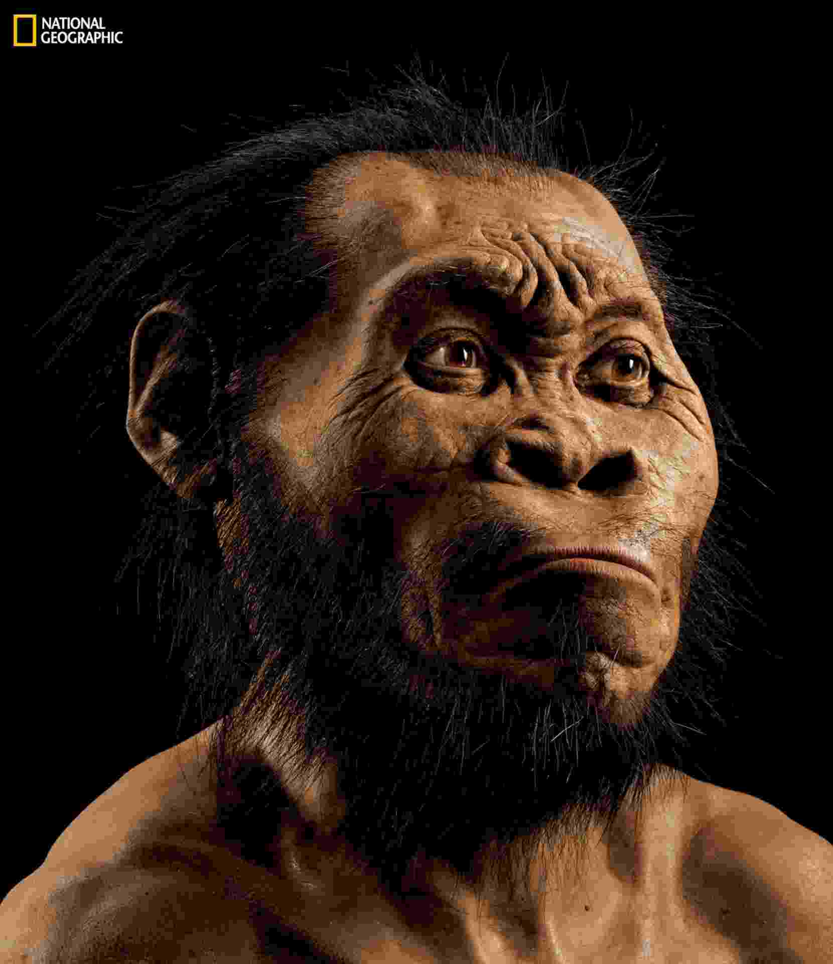 Fósseis de Homo sapiens de mais de 300 mil anos ampliam nossa história ...