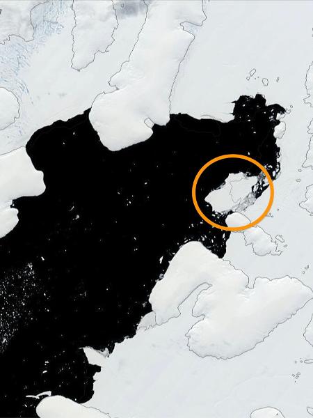 Iceberg se solta na Antártida e expõe corais e esponjas no oceano