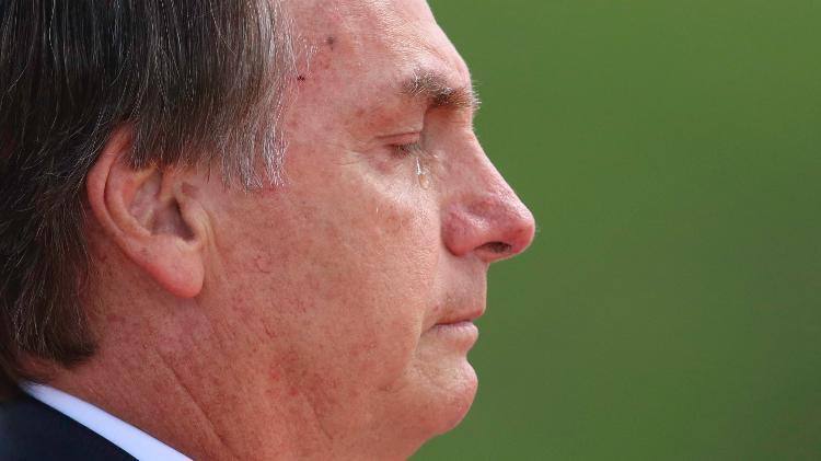 Por que chora Bolsonaro? Funcionando o estado de direito, chora de medo ...