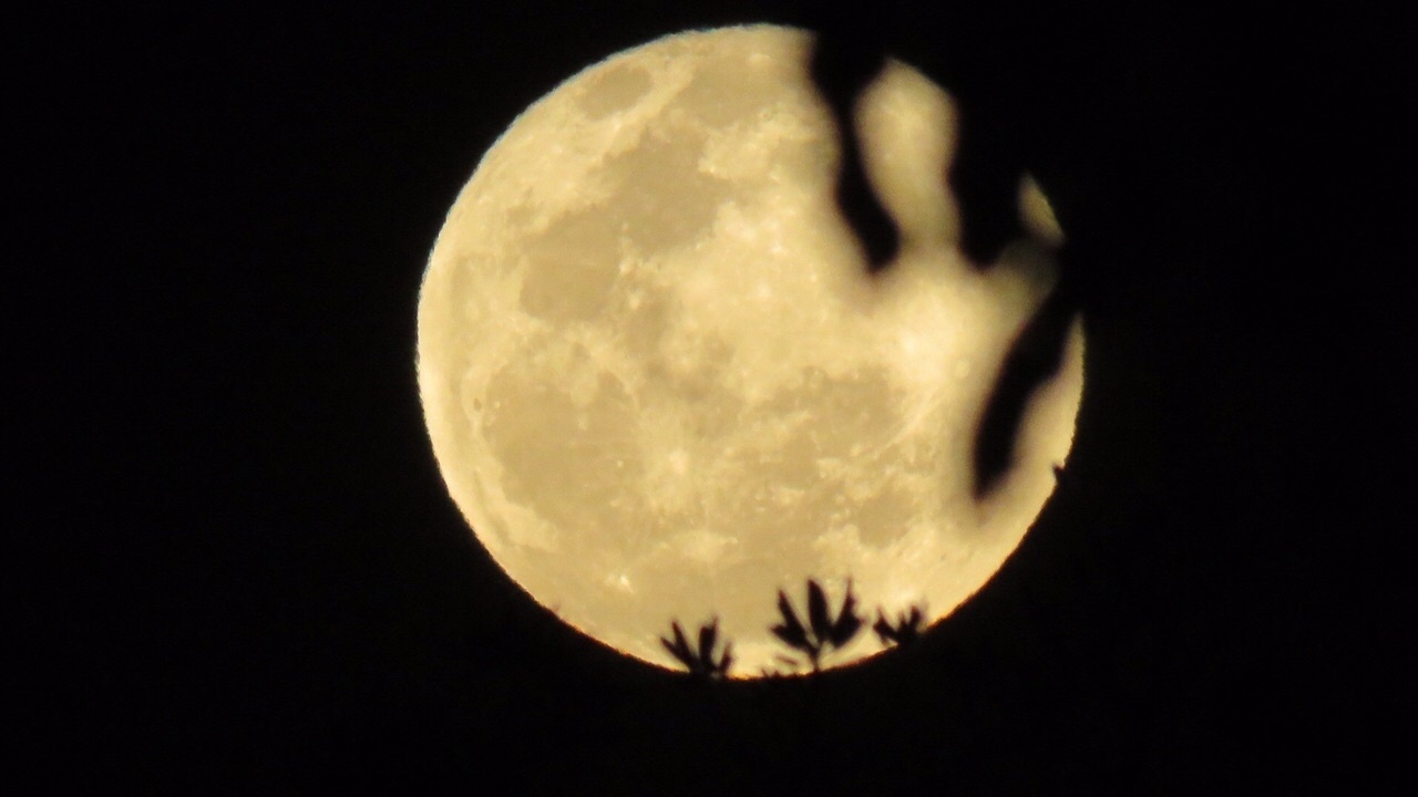 Fotos: Fenômeno da "lua azul" ilumina o céu pelo mundo - 31/07/2015 ...