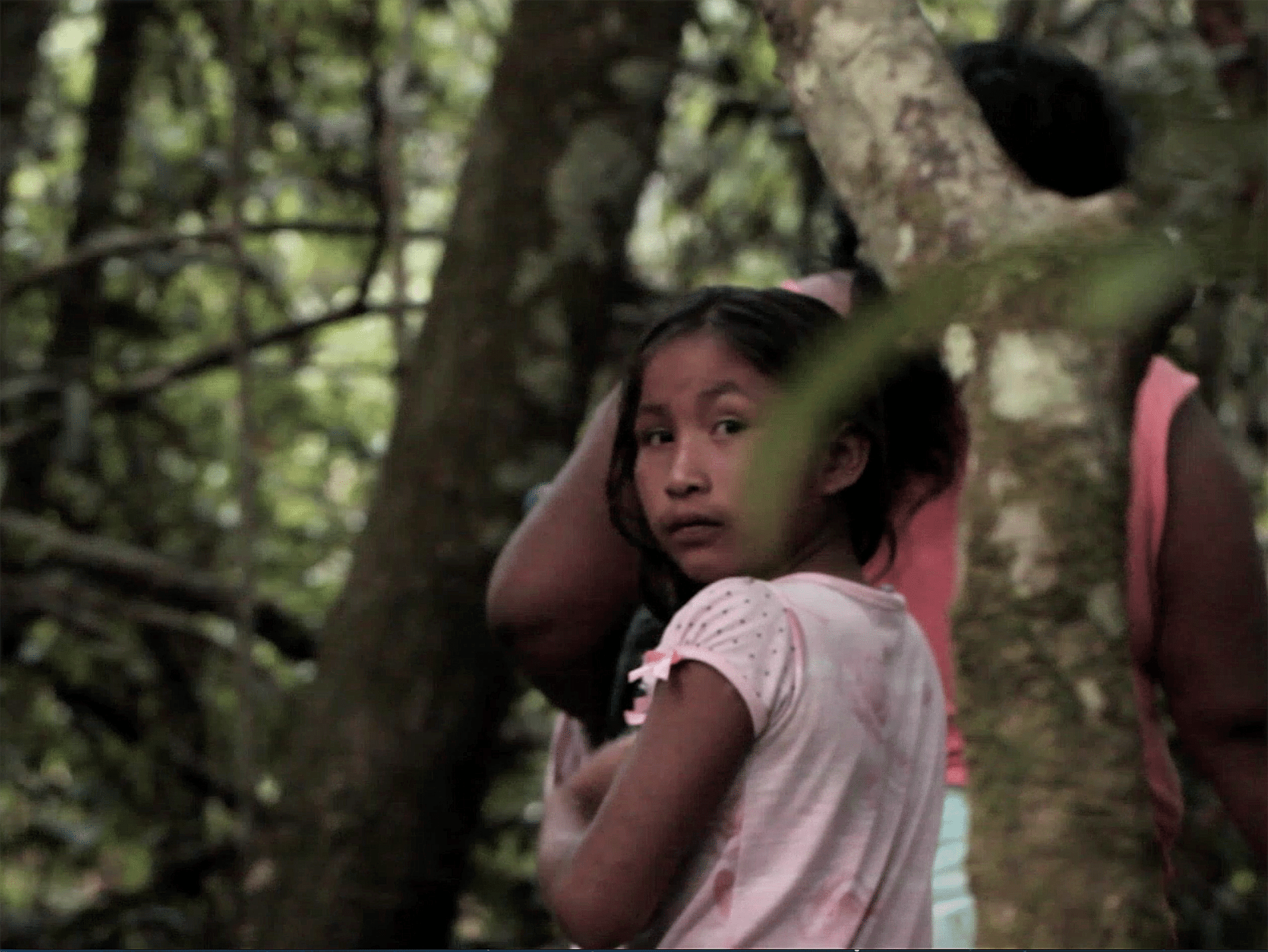 Fotos: Tribo manoki luta para recuperar território invadido por ...
