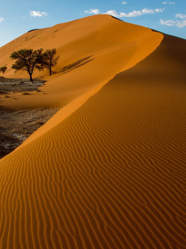 Namíbia: Os mistérios do deserto mais antigo do mundo