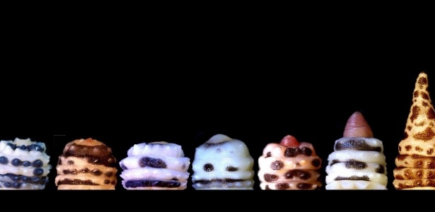 Lagartixas podem indicar caminho para tratamento de lesões na medula ...