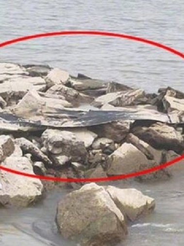 Salamandra Monstro Do Rio