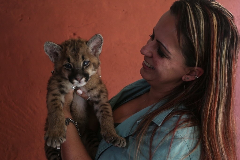 Veja fotos de filhotes fofos do mundo animal - BOL Fotos - BOL Fotos