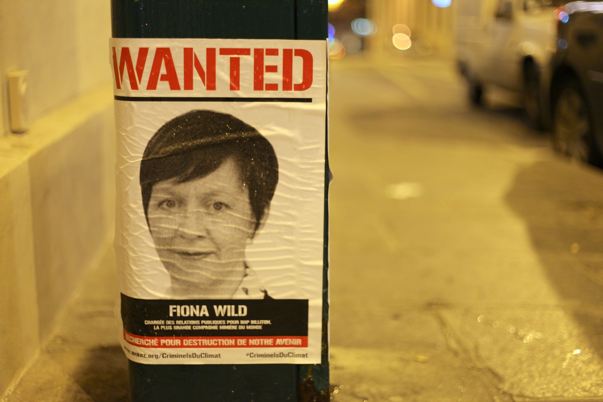 Fotos: ONG cola cartazes com "procurados por destruir nosso futuro ...