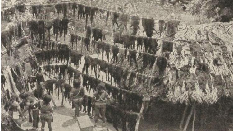 Cruz nazista no Amapá: o plano de Hitler para a Amazônia