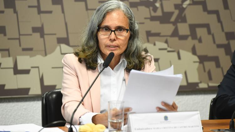 Senado aprova embaixadoras do Brasil na Venezuela e Guiana