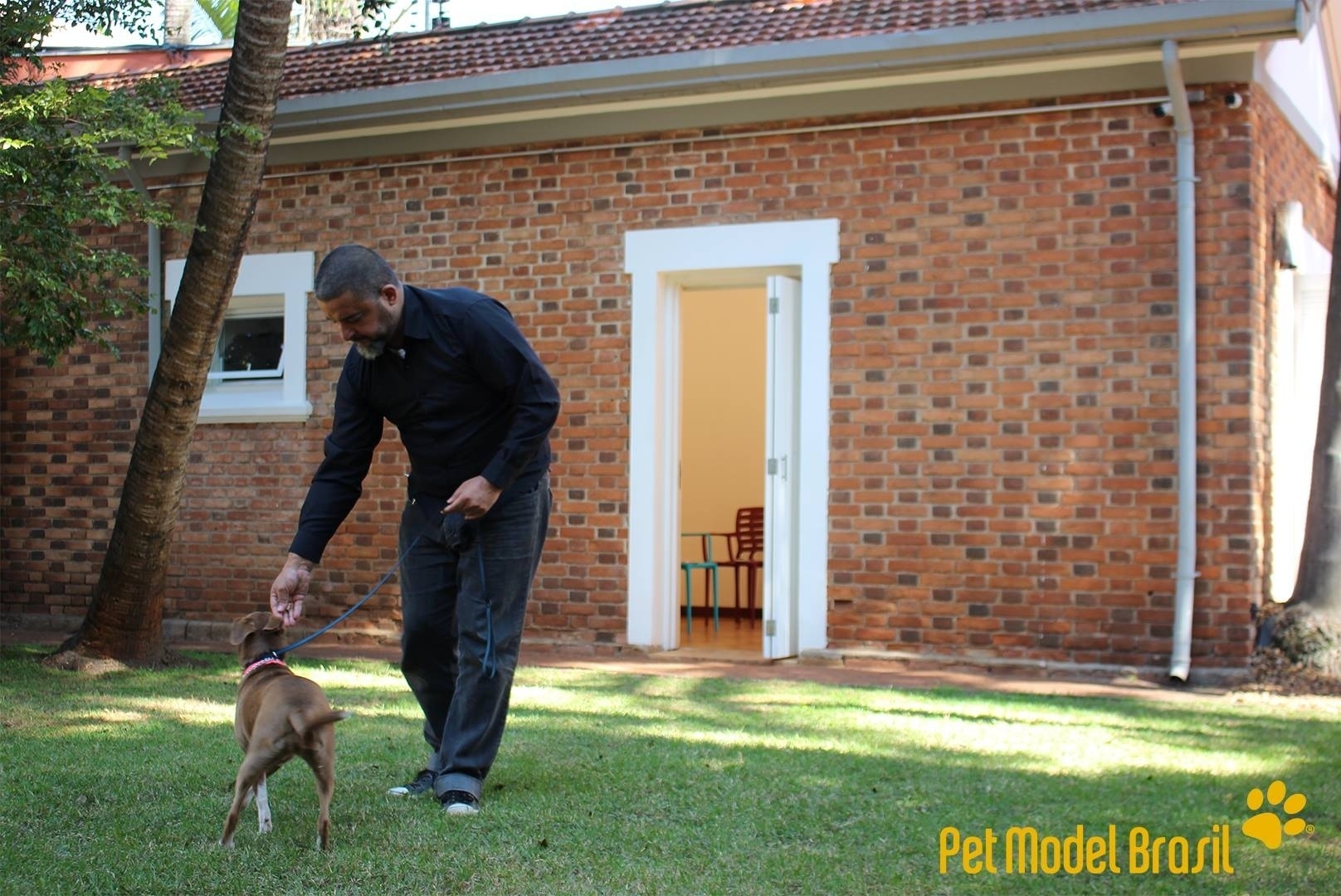 Fotos: Conheça a Pet Model Brasil, que agencia animais de estimação ...