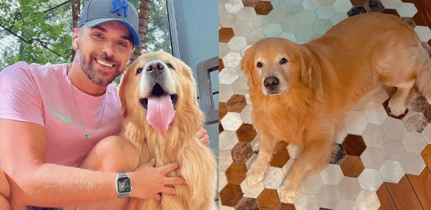 Joca sofreu antes de morrer por choque cardiogênico em avião?