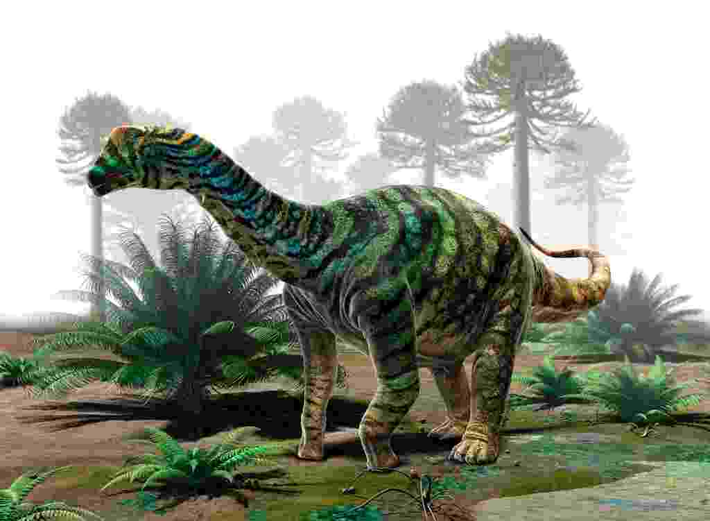 Fotos: Vale dos dinossauros no Brasil - 21/07/2018 - UOL Notícias