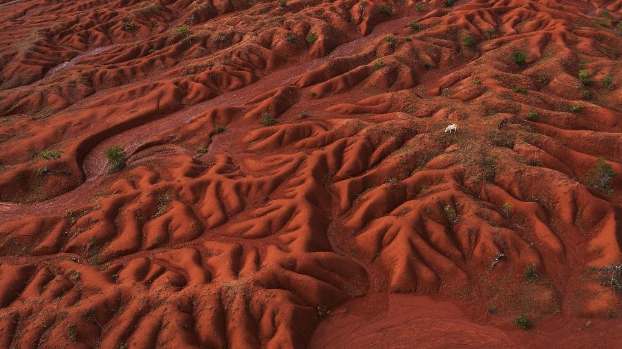 Brasil pode ter deserto? O que se sabe sobre degradação no semiárido