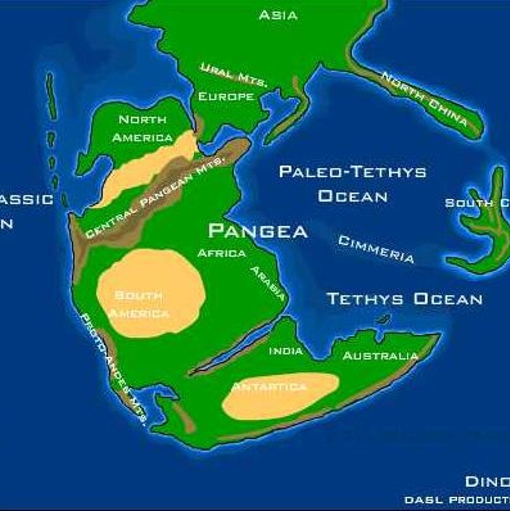 Supercontinente Pangeia Deriva Continental Evidências E