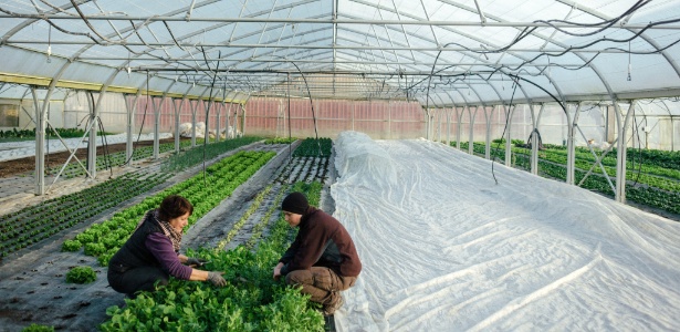Europa propõe 'freios' contra invasão do agro brasileiro