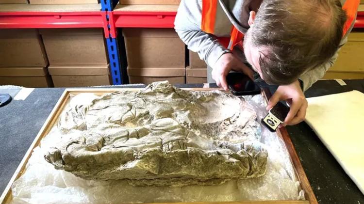 Arqueólogos encontram raro corante púrpura mencionado na Bíblia