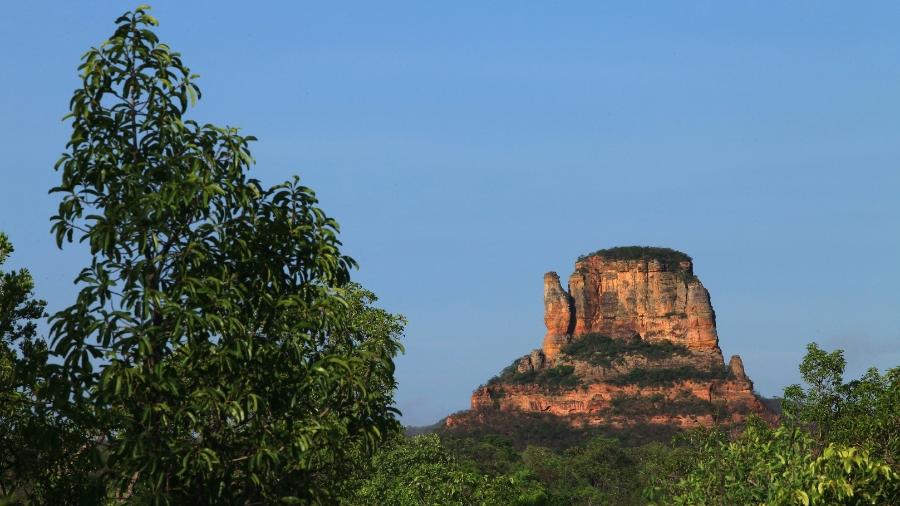 Empresa virou 'dona' de 82% da área protegida do Piauí com grilagem