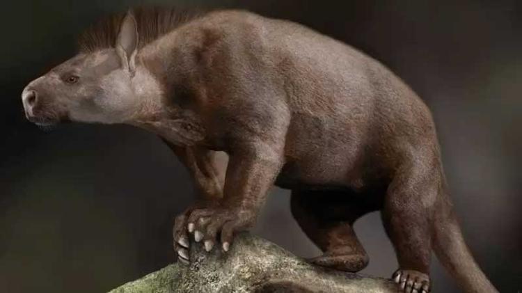 Como nossos ancestrais sobreviveram ao asteroide que matou os ...