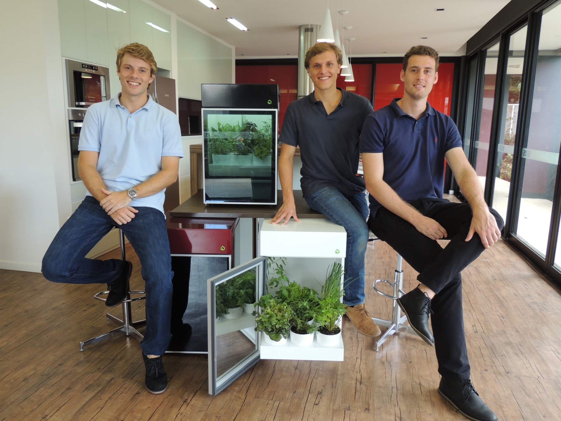 Fotos: Conheça estufa para horta - 12/04/2017 - UOL Economia