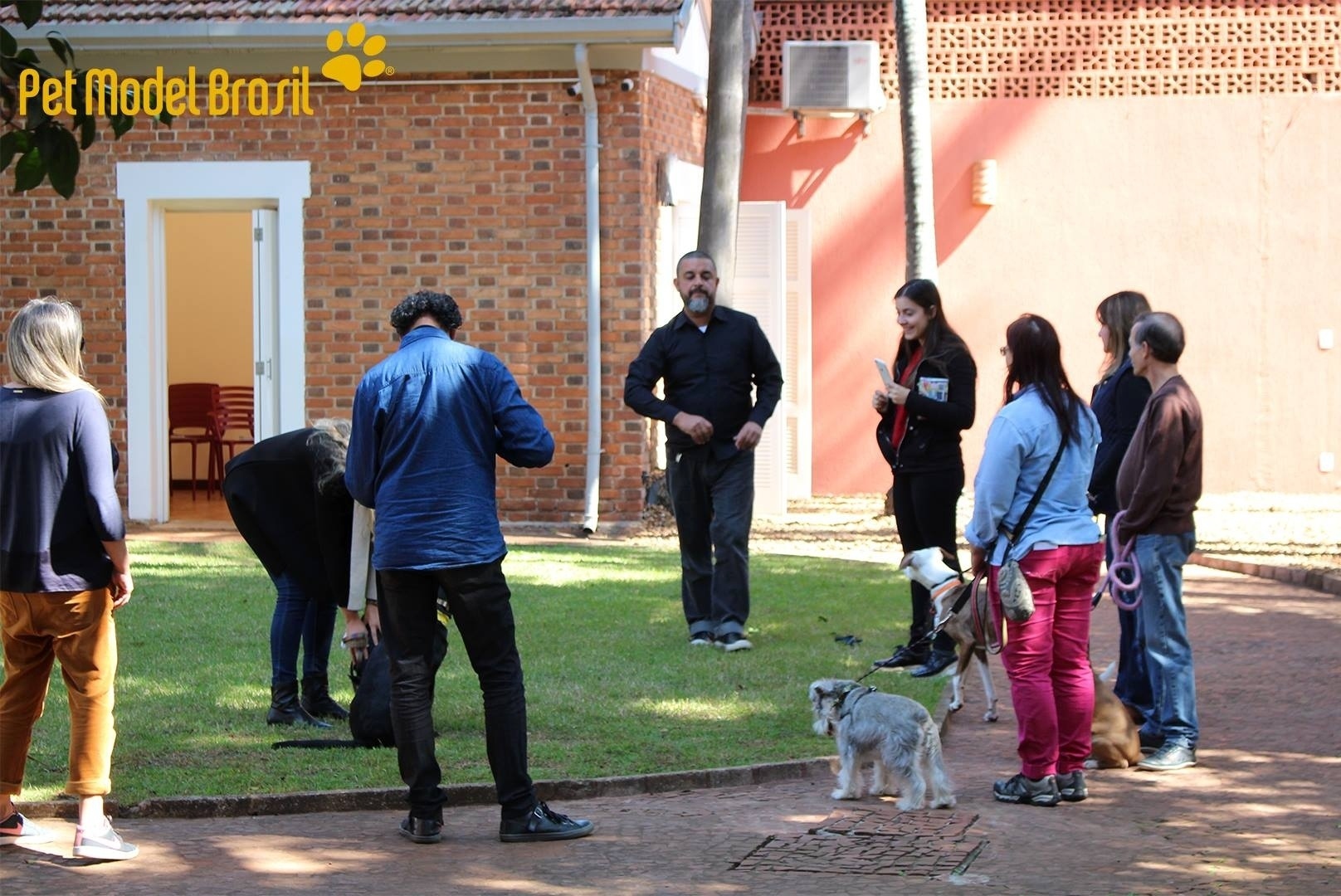 Fotos: Conheça a Pet Model Brasil, que agencia animais de estimação ...