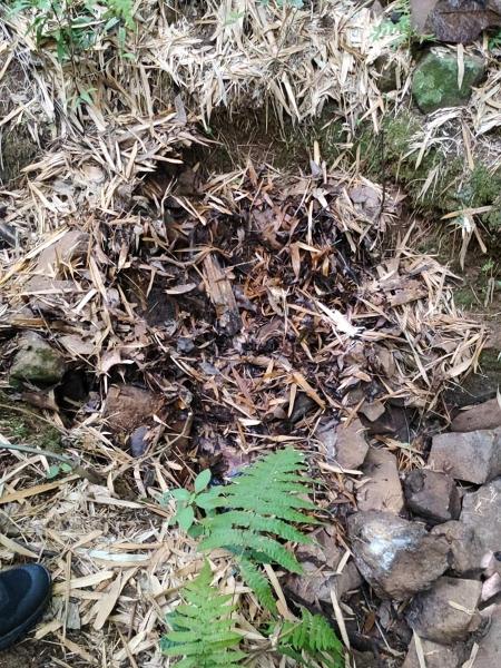 Polícia acredita que pai matou filha por vingança ao ser condenado por ...