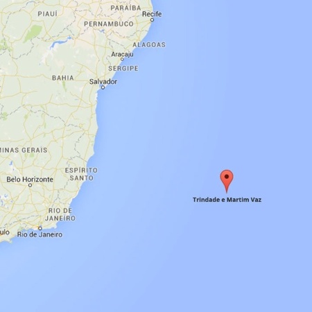 Restauração florestal da Ilha de Trindade busca salvar fragatas raras