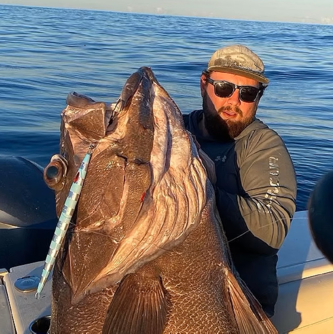 Ataque De Peixe Garoupa Gigante Conheça A Carne De Peixe Desenvolvida