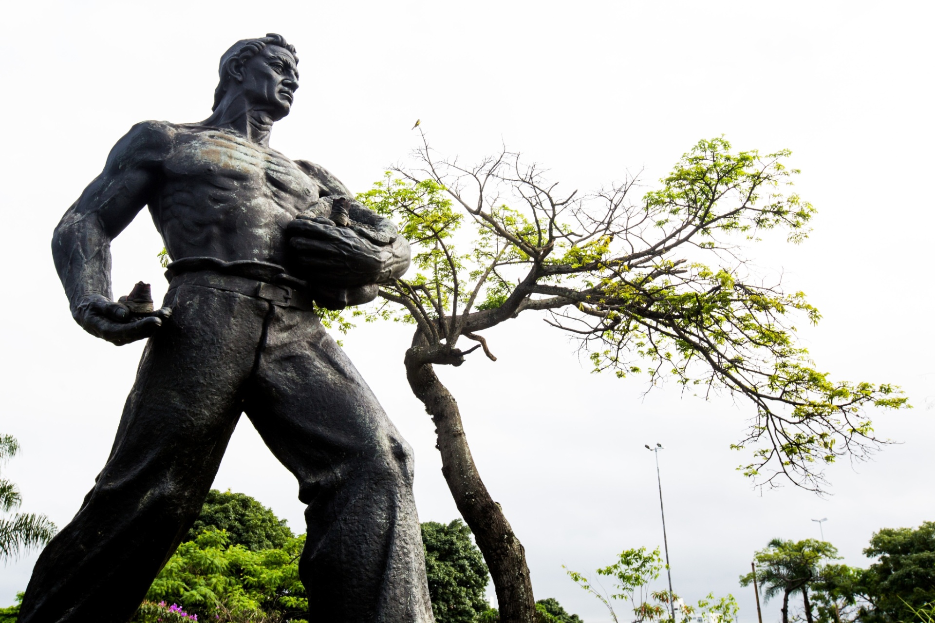 Fotos: São Paulo é uma mulher: conheça as estátuas que enfeitam a ...