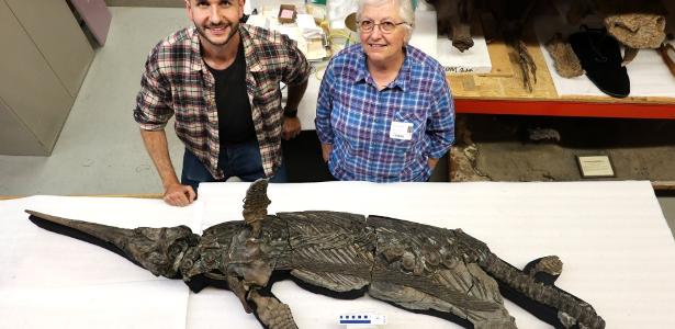 Dragão jurássico é descoberto na Inglaterra com vestígio da última refeição