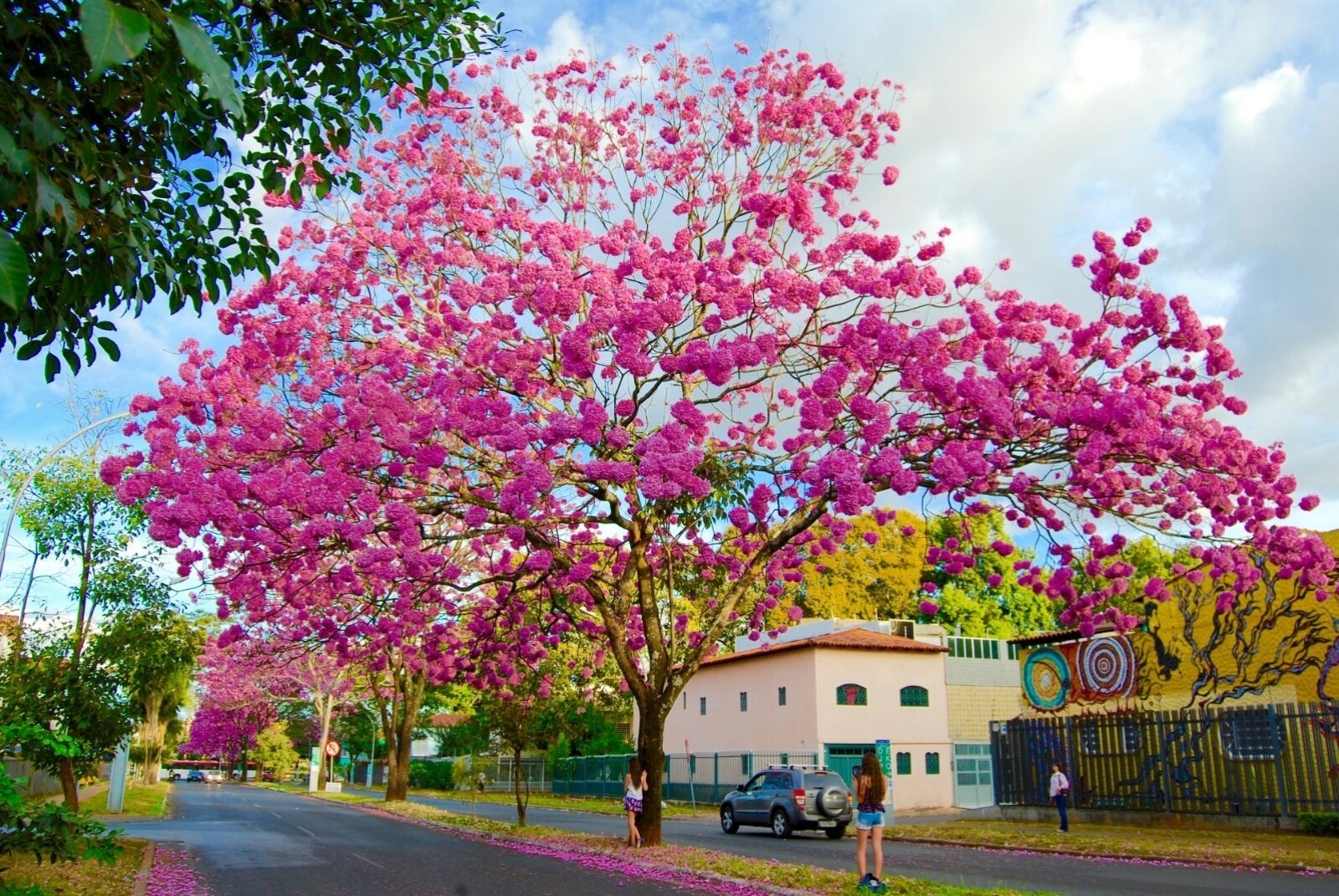 Fotos: Primavera no Brasil - 21/09/2015 - UOL Notícias