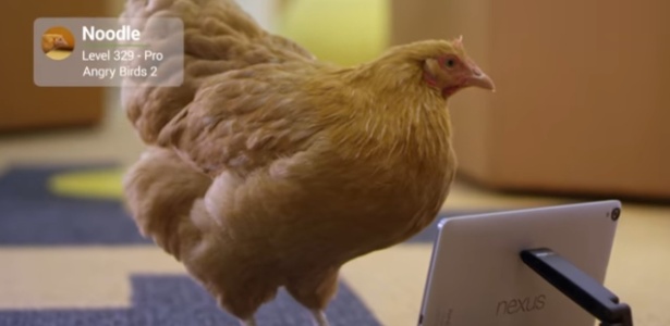 Busca para cães e assistente gnomo: as "próximas tecnologias" do Google ...