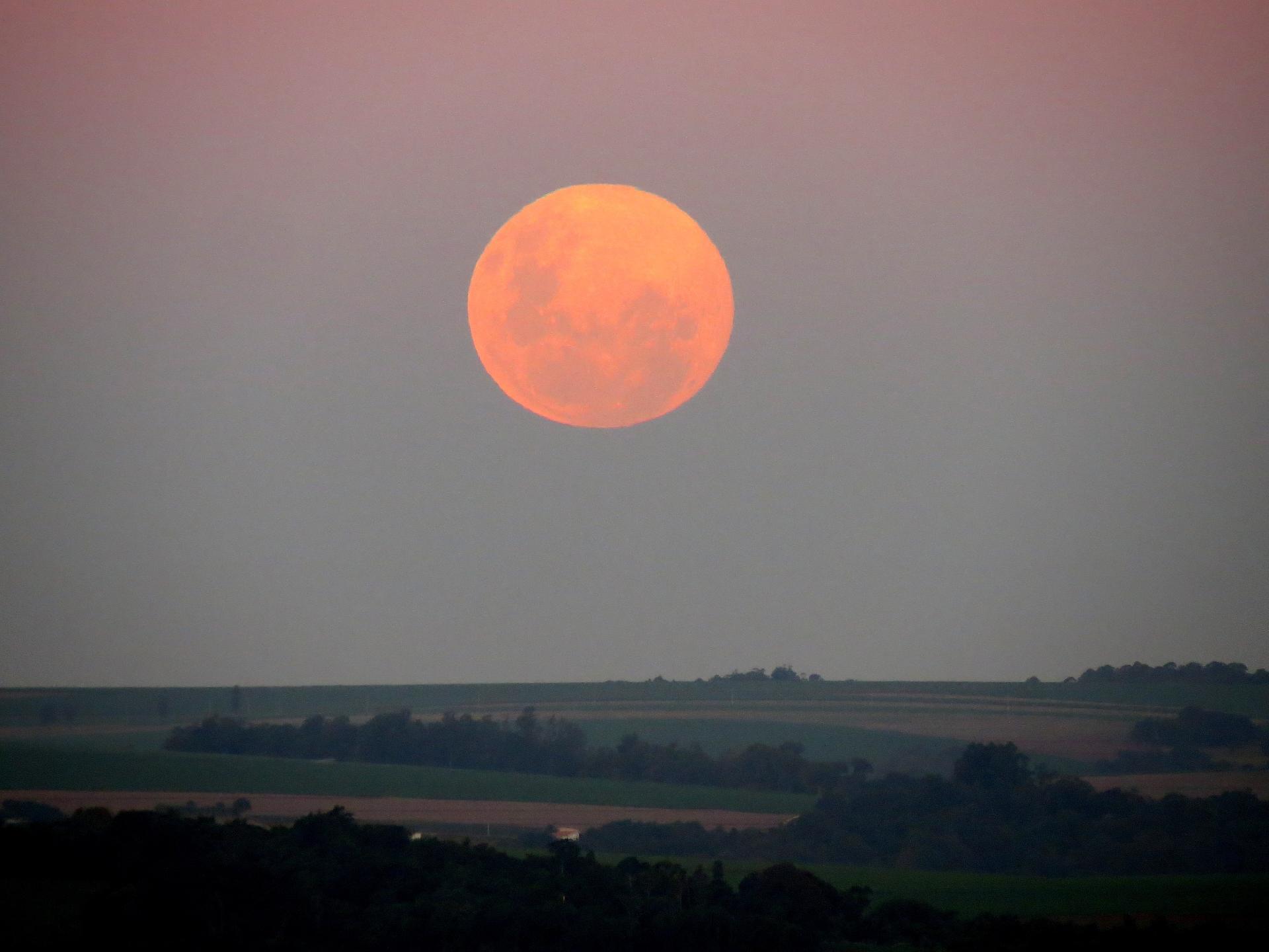 Superlua rosa é avistada no Brasil e no mundo; veja fotos