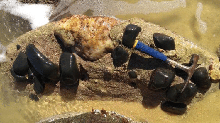 O que são as rochas de Darwin, que opõem ambientalistas e projeto de ...