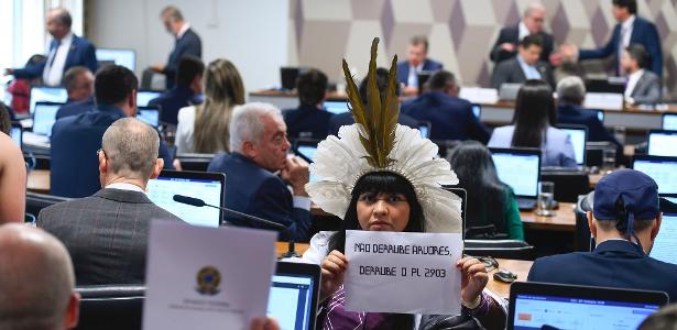 Marco temporal: entenda próximos passos após avanço no Senado