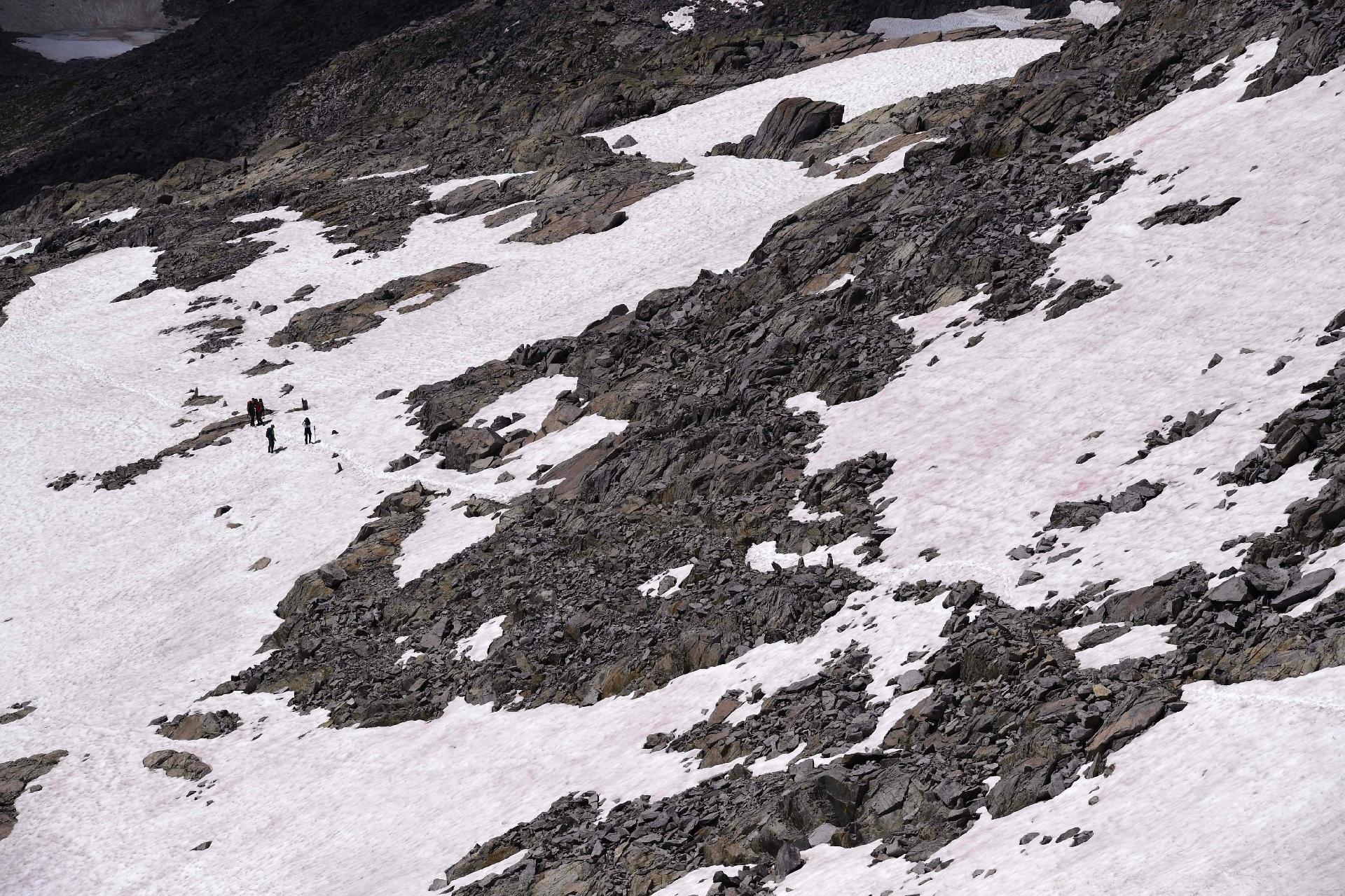 Fotos: Neve rosada cobre região nos Alpes e intriga cientistas - 06/07 ...