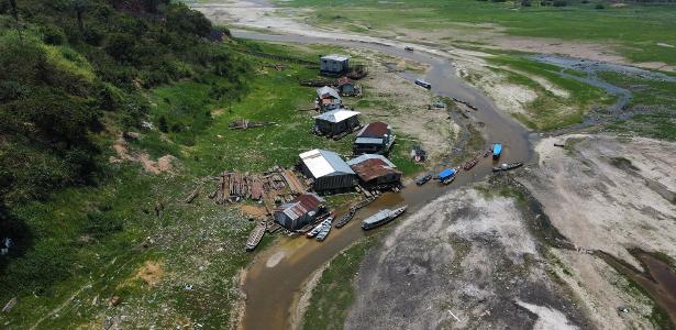 Amazônia vive seca devastadora: 'Natureza não tem tempo de se adaptar'