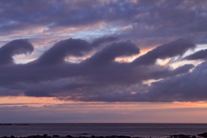 Aranhas formam super-teia para escapar de enchentes na Austrália ...