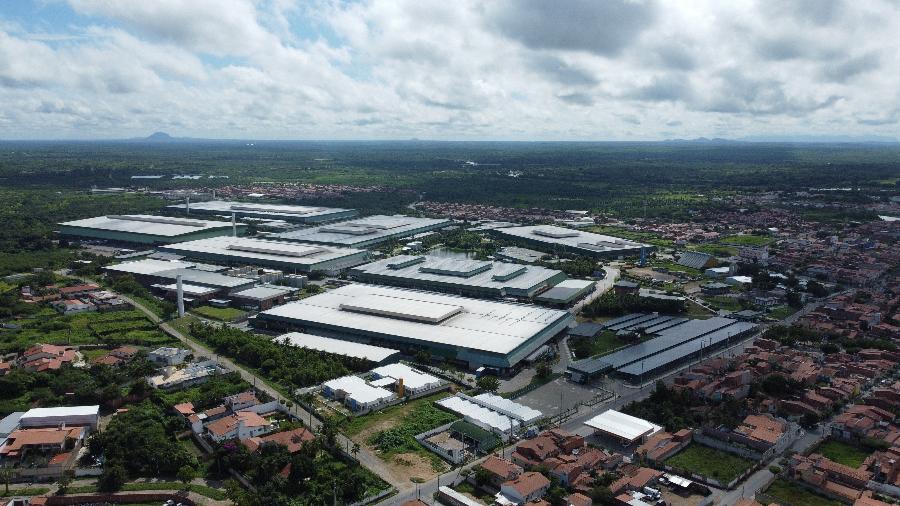Grendene estava ganhando espaço no varejo dos EUA; o tarifaço parou tudo