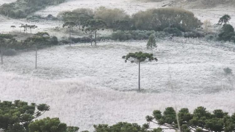 Geada em Santa Catarina: veja imagens após passagem de massa polar