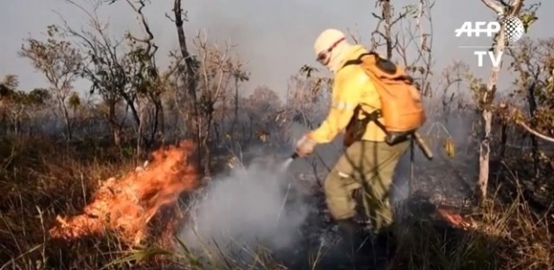 Parque Nacional de Brasília já teve 10% da área atingida pelo fogo - 31 ...