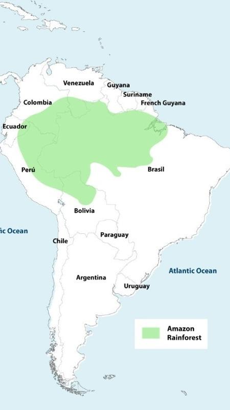 Como a COP26 se relaciona com a geopolítica da Amazônia