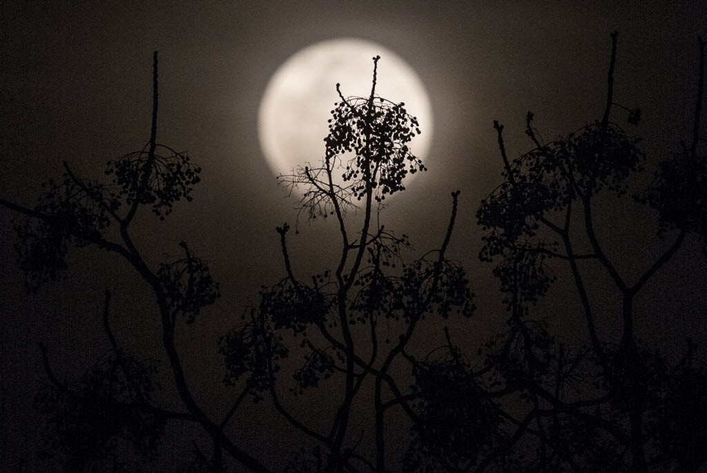 Cratera da Lua foi formada por colisão de proto-planeta, indica estudo ...