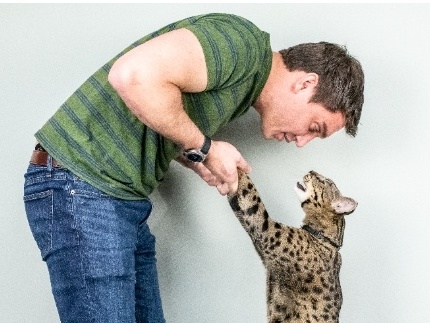 O Animal Mais Alto Do Mundo A Girafa é O Animal Terrestre Mais Alto