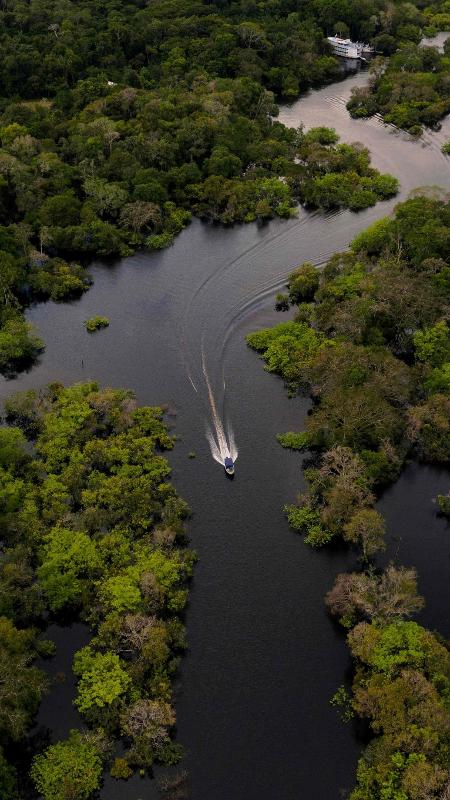 Homens Da Floresta Amazonica A Jornada De Uma Aldeia Amazônica Para