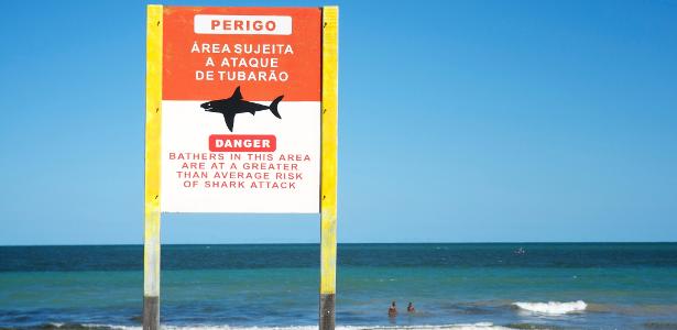 Criança de 11 anos atacada por tubarão em praia de PE tem a perna amputada