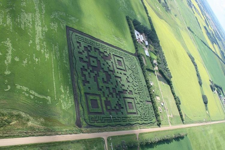 Quem inventou o QR Code?