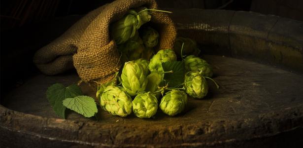 A era de ouro da cerveja: Skol Hops é a puro malte que aposta no ...