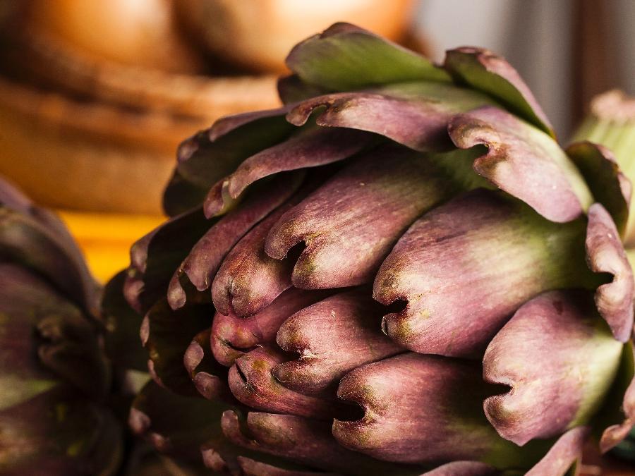 Protege o fígado, melhora a digestão: os benefícios da alcachofra